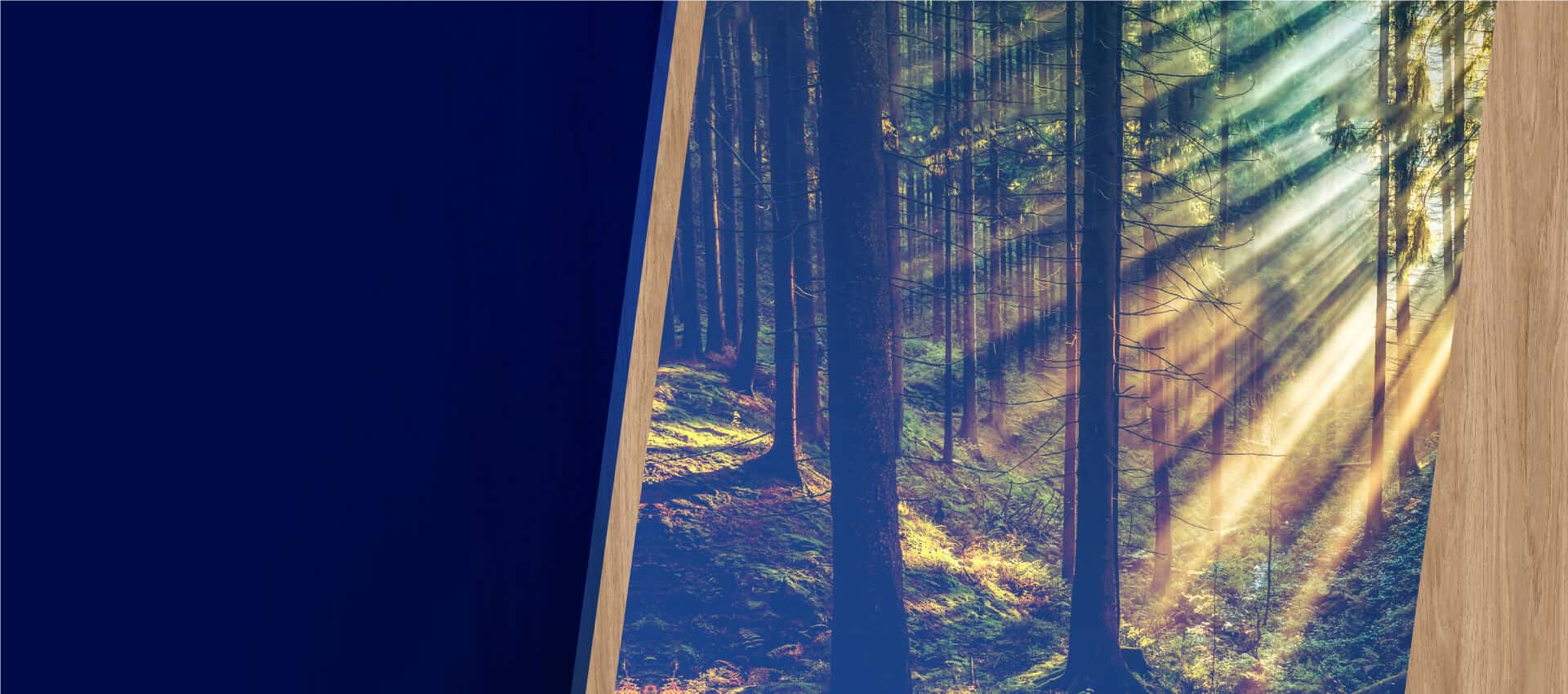 DURATEX los mejores diseños para tus espacios e Interiores