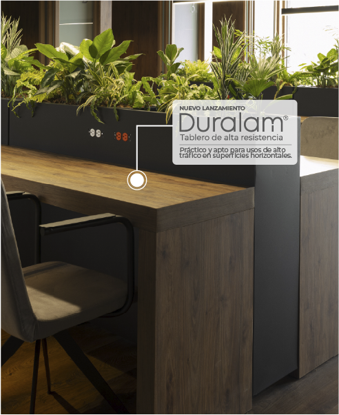 Colección 2024 - 2025 | Duratex